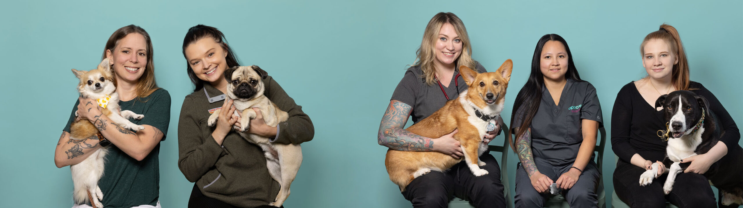 Our Team • Lake Harriet Veterinary