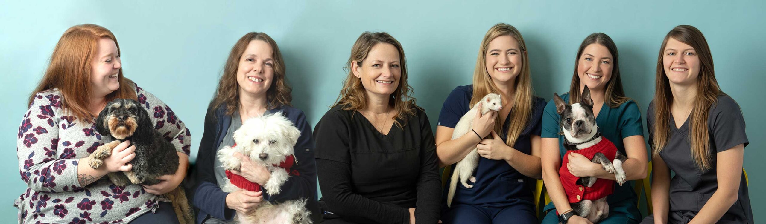 Our Team – Lake Harriet Veterinary